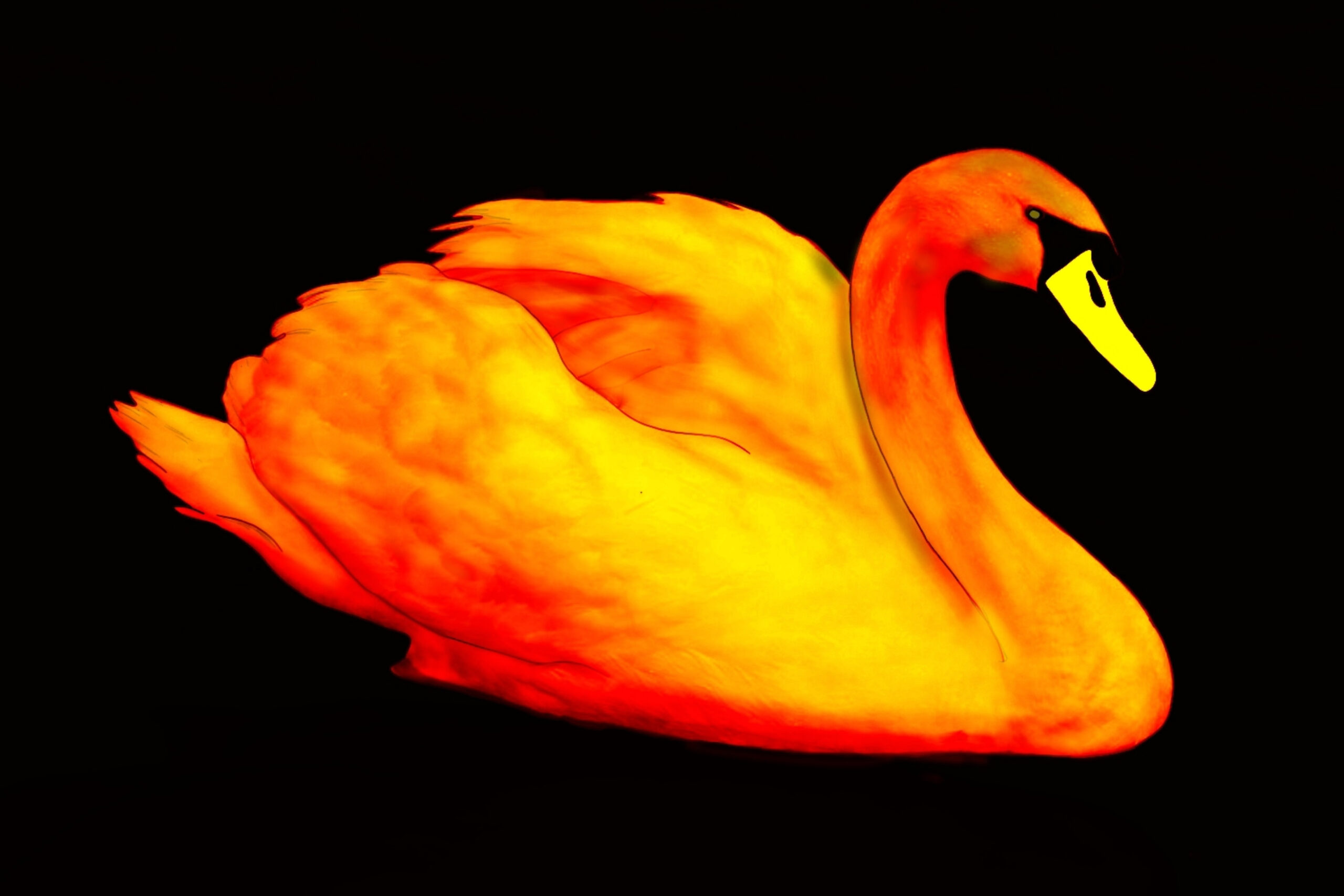 Private credit after an orange swan event | DECALIA